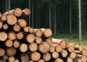 Guide to Skip Types: From General to Metal Waste Skips